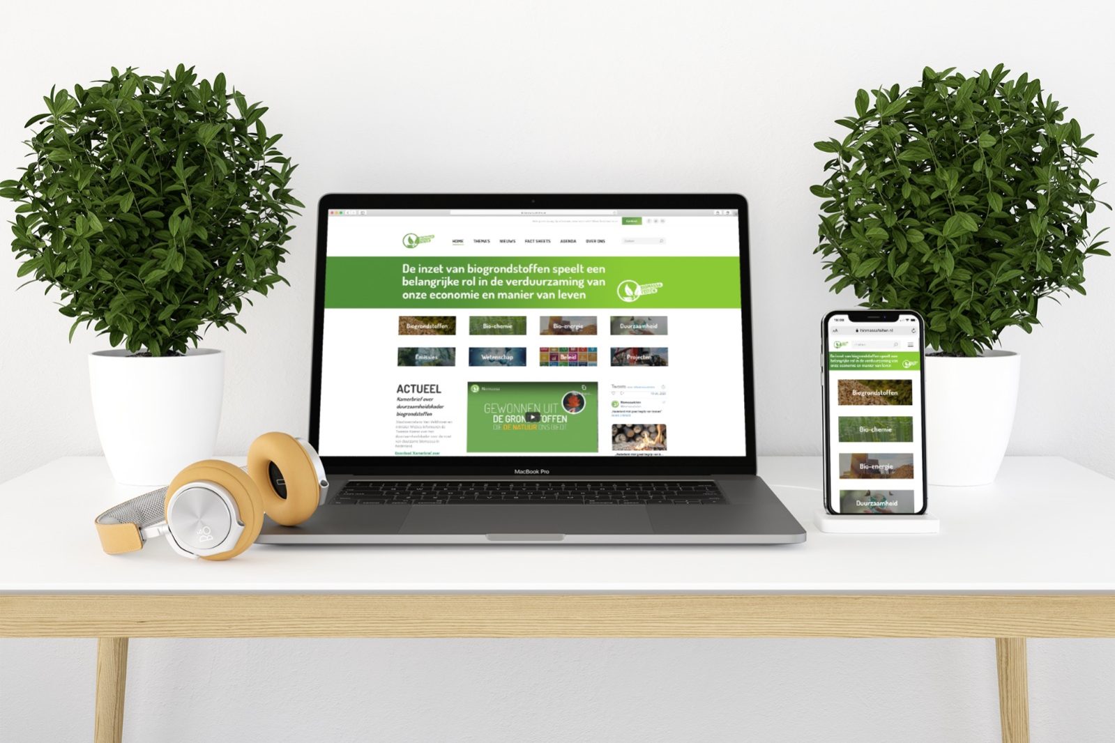 Website Biomass Facts ONLINE! - Biomass facts Website Biomass Facts ONLINE! - Biomass facts